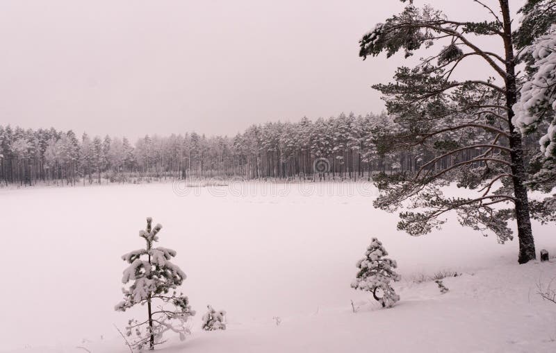 Lake Covered by Ice and Snow Stock Image - Image of nature, environment ...