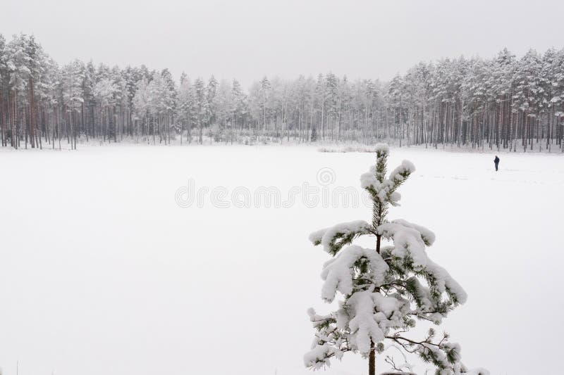 Lake Covered by Ice and Snow Stock Image - Image of cloudyand, park ...