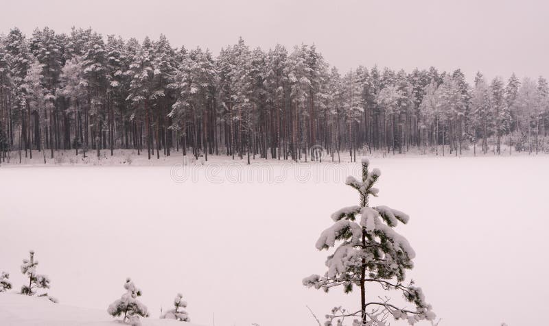 Lake Covered by Ice and Snow Stock Image - Image of mist, cloudyand ...