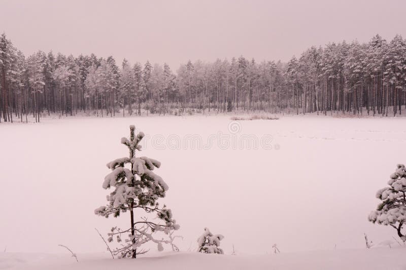 Lake Covered by Ice and Snow Stock Photo - Image of cloudy, park: 84155348