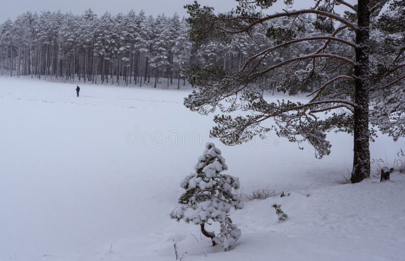 Lake Covered by Ice and Snow Stock Image - Image of cloudy, color: 84155369