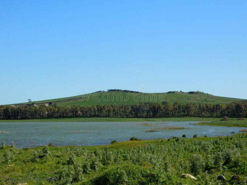 Lake day outdoors stock photo. Image of water, beautiful - 70313120
