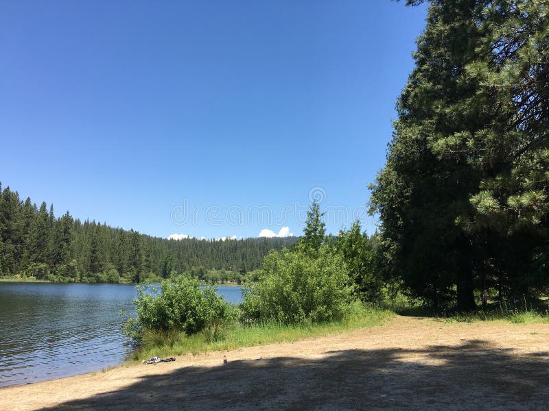 Lake Day stock image. Image of trees, surrounded, lake - 223155983
