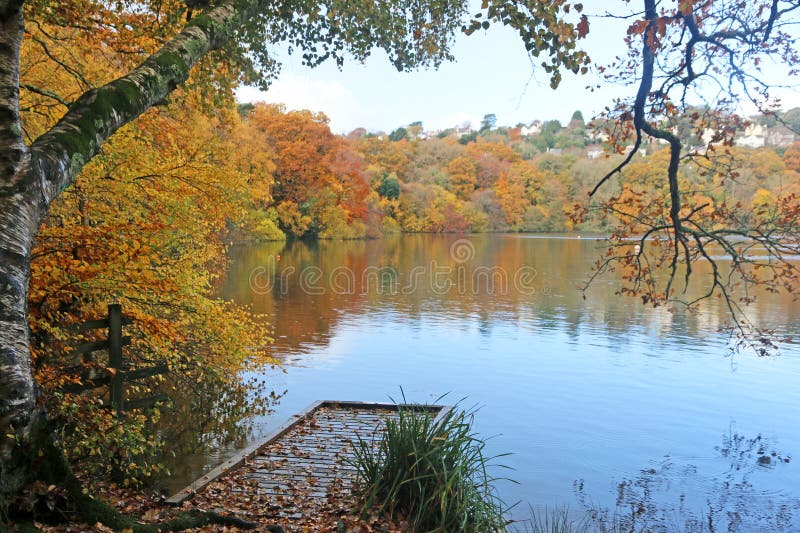 Lake in Decoy Country Park, Devon in Autumn Stock Image - Image of ...