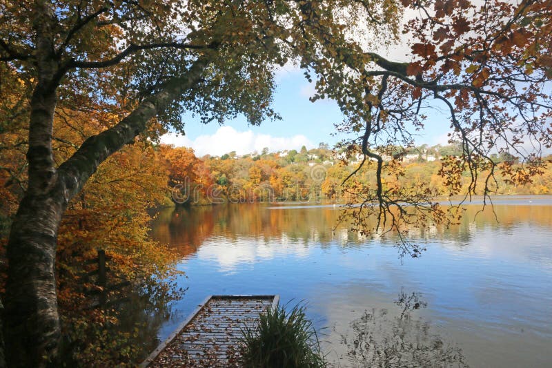 Lake in Decoy Country Park, Devon in Autumn Stock Image - Image of ...