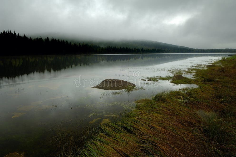 Lake in Deep Forest stock photo. Image of mirror, hiking - 19116218