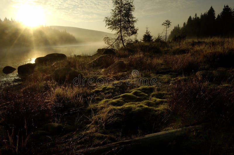 Lake in Deep Forest stock image. Image of forest, hiking - 19197929