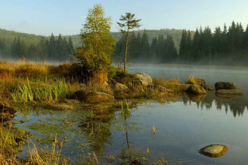 Lake in Deep Forest stock image. Image of hiking, season - 19197967