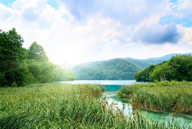 Lake in deep forest stock image. Image of river, plitvice - 6411381