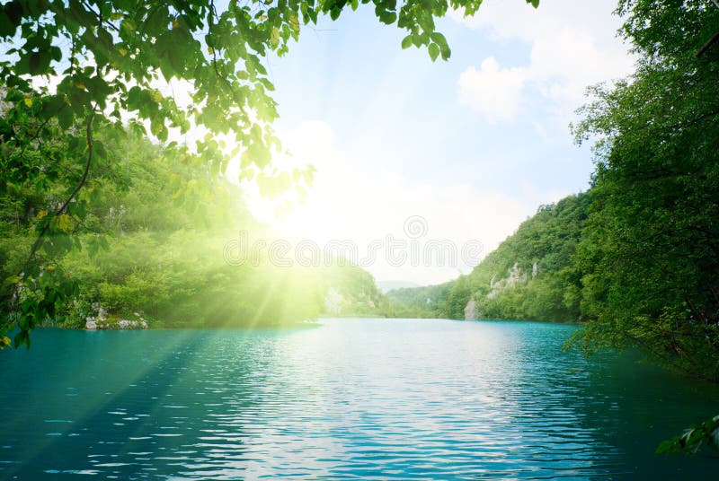 Lake in deep forest stock image. Image of summer, forest - 6411527