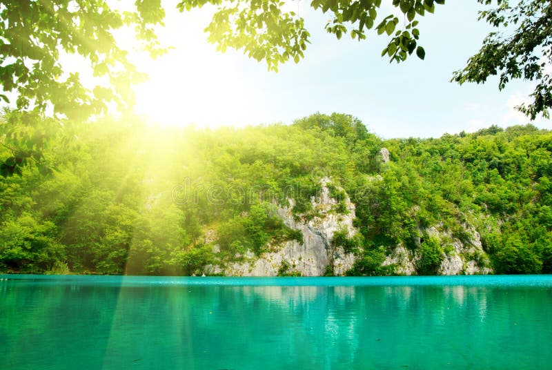 Lake in deep forest stock image. Image of river, outdoor - 6945115