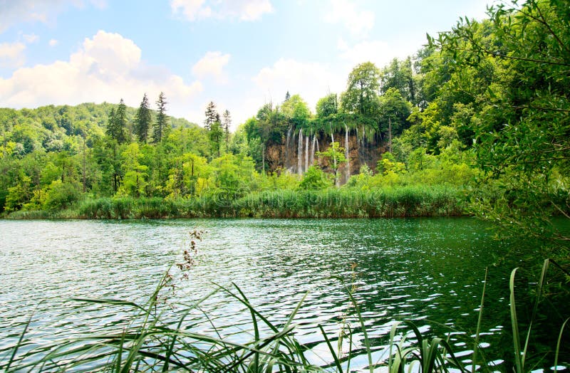Lake in deep forest stock photo. Image of landscape, bright - 6945140