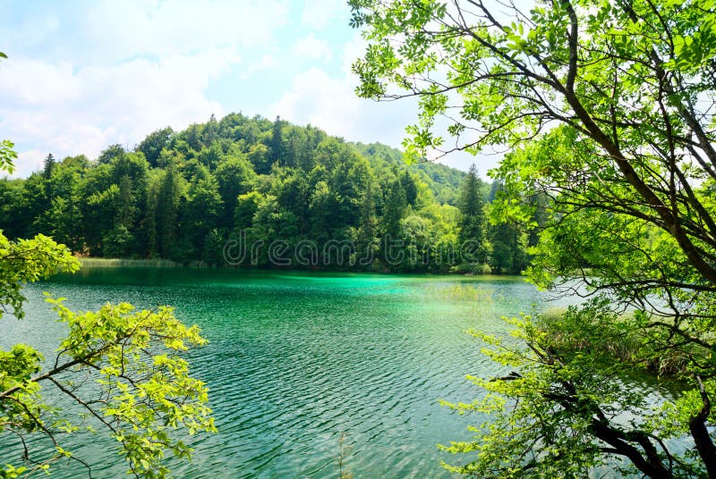 Lake in deep forest stock image. Image of mirror, horizon - 7129305