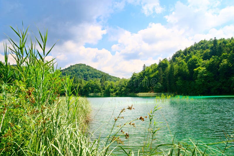 Lake in deep forest stock photo. Image of mountain, nature - 7129312