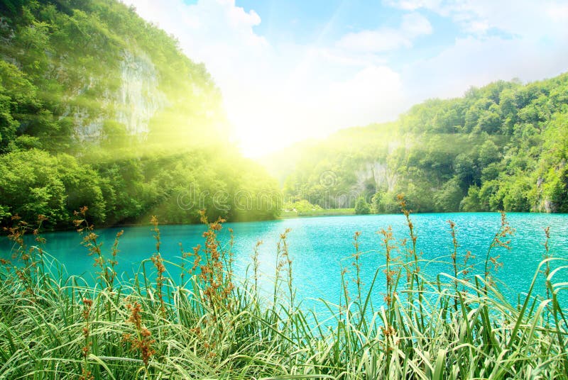 Lake in deep forest stock image. Image of forest, colorful - 7129323