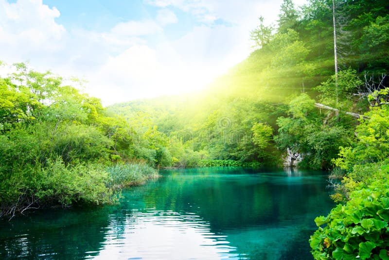 Lake in deep forest stock image. Image of outdoor, croatia - 7129333