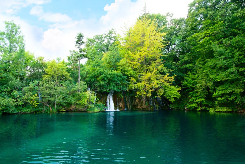 Lake in deep forest stock image. Image of scenery, reflect - 7129389