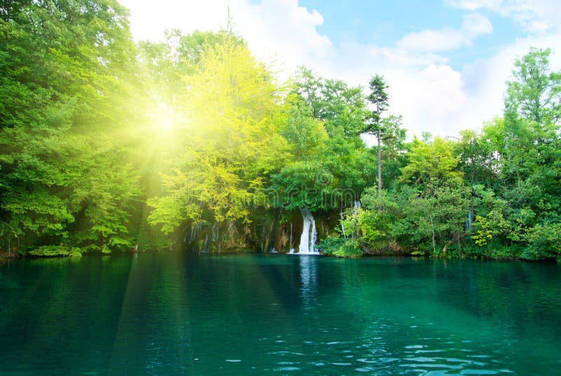 Lake in deep forest stock photo. Image of environment - 7252072