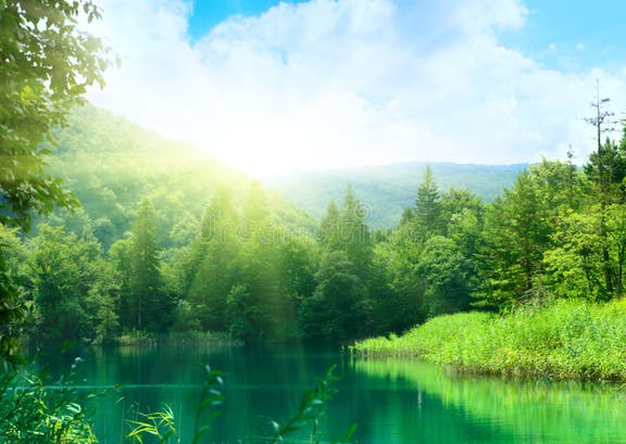 Lake in deep forest stock image. Image of horizon, bright - 7486445
