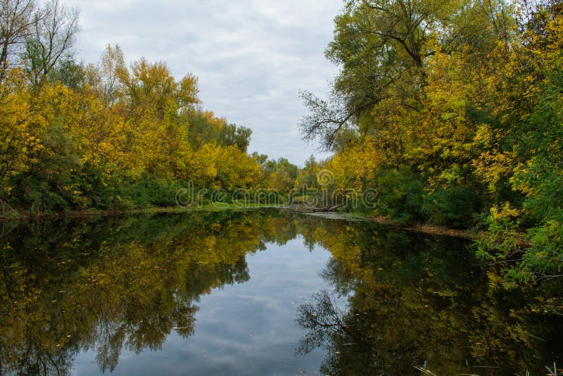 A Lake in a Deep Forest. Mixed Forest in Reflection on the Lake Stock ...