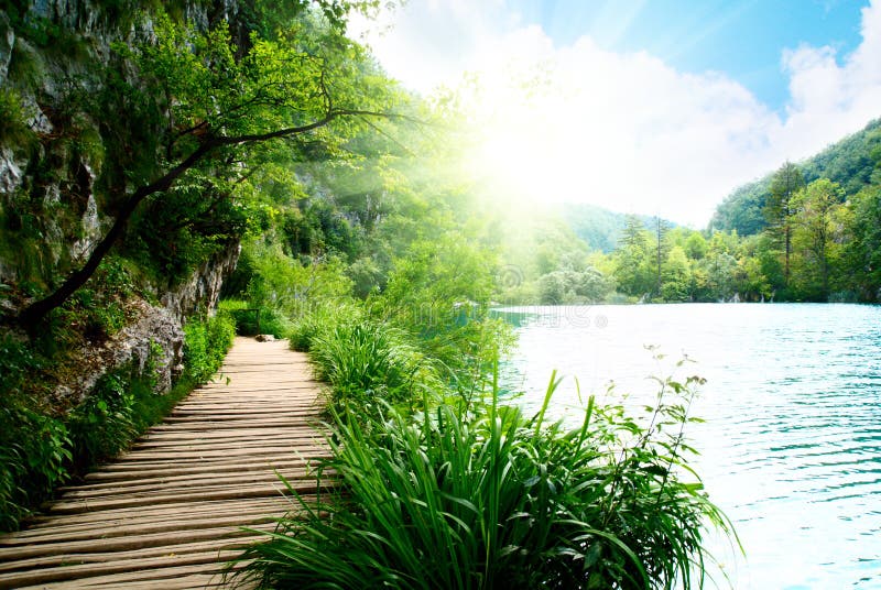 Lake in deep forest stock image. Image of rock, outdoor - 7486455