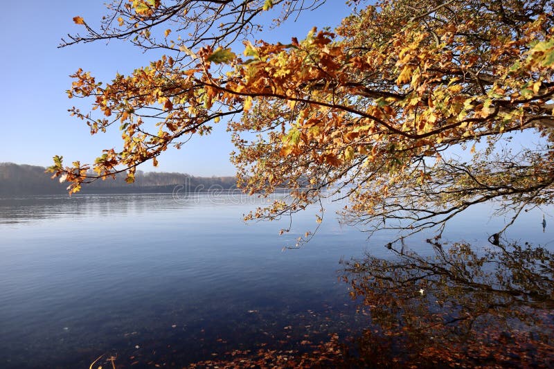 Lake in Denmark in the Fall Stock Photo - Image of fall, scandinavia ...