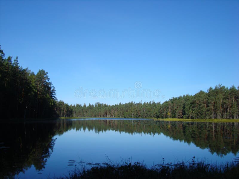 Lake in the distant forest stock image. Image of ecology - 213022699