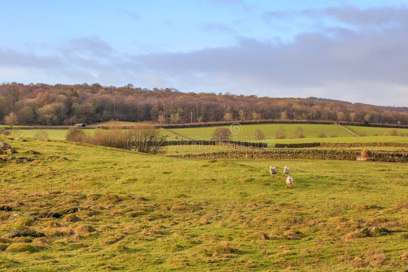 Lake District Landscape stock photo. Image of fields - 107087610