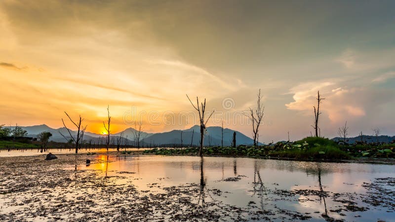 Lake with Dry Tree and Mountain in Sunset Stock Image - Image of lotus ...