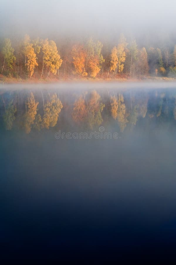 Lake early in the morning stock photo. Image of nature - 11191192