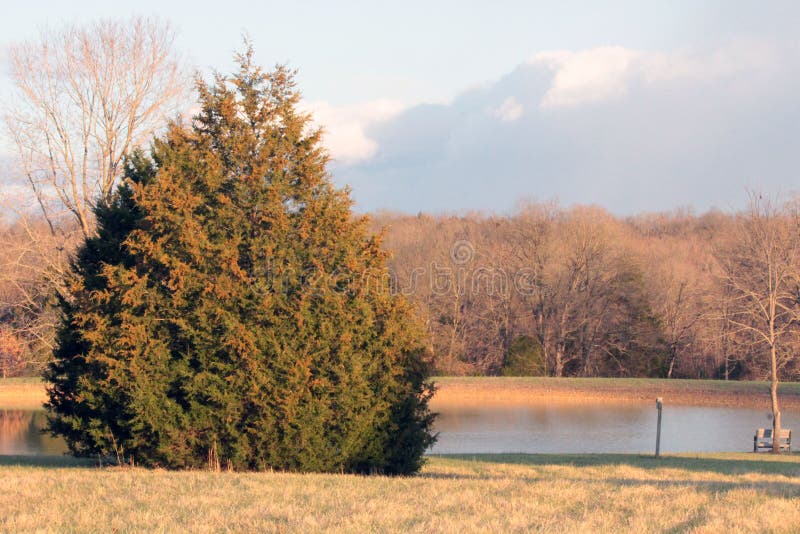 Lake and Early Spring Skyline Stock Image - Image of lake, view: 99293405