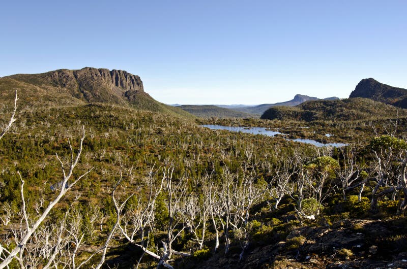 Lake Elysia - the Labyrinth, Tasmania, Australia Stock Photo - Image of ...