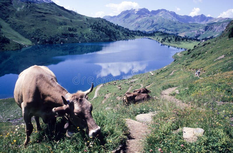 Lake Engstlen Over Engelberg Stock Photo - Image of engstlen ...
