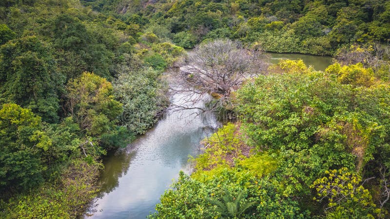 The Lake of Fa Peng Bay, Hk Feb 17 2024 Stock Photo - Image of scene ...
