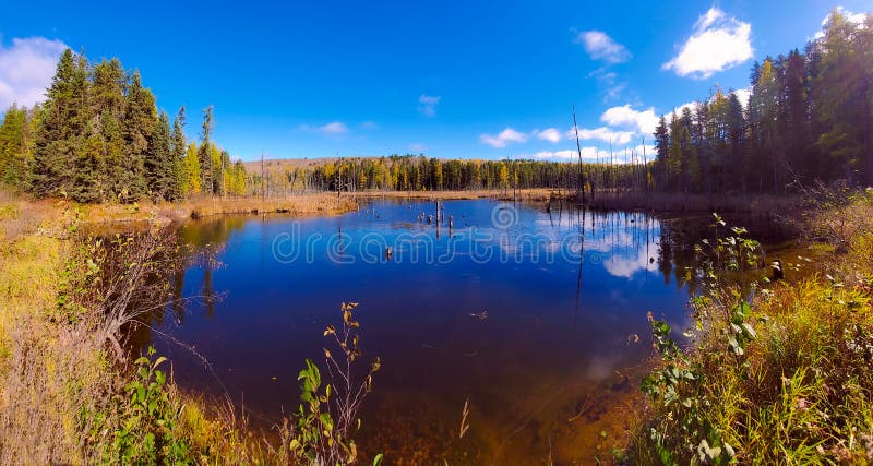 Lake with Fall Colors in Canadian Forest, Quebec Stock Image - Image of ...