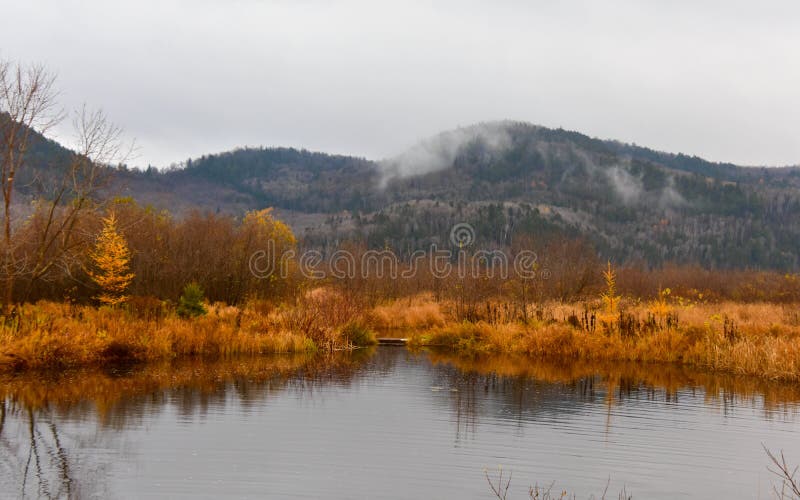 Lake with Fall Colors in Canadian Forest, Quebec Stock Image - Image of ...