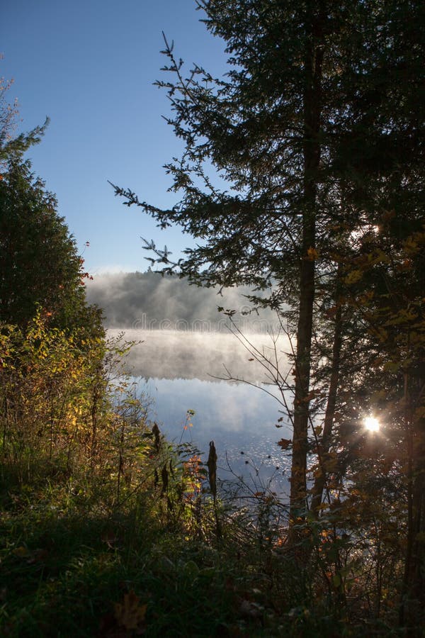Lake in the Fall Forest, Canada Stock Image - Image of lake, road: 45027783
