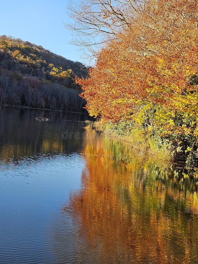 Lake in the Fall Reflection Stock Image - Image of lake, foliage: 294836611