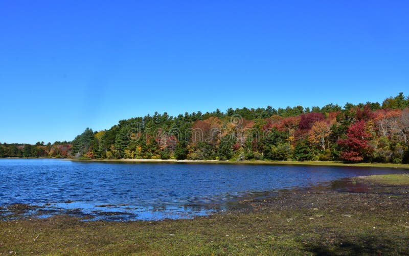 Lake in the Fall with Trees Turning Colors Stock Image - Image of ...