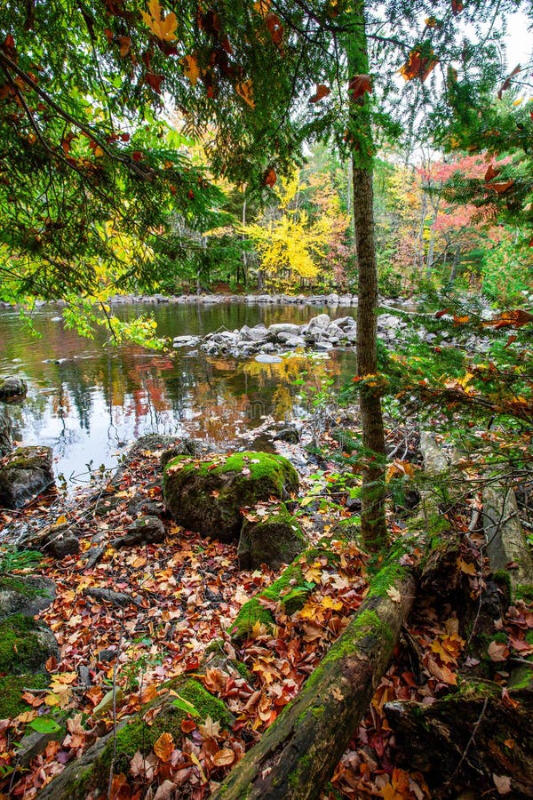 Lake of the Falls in Mercer, Wisconsin in September Stock Image - Image ...