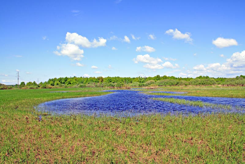 Lake on field stock photo. Image of small, deep, russian - 11646994