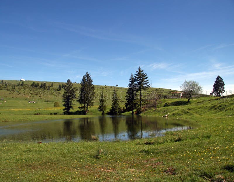 Lake at the field stock photo. Image of lake, nature, field - 854120
