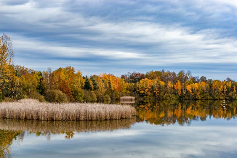 Lake between Fields and Forests. Late Fall Stock Image - Image of leaf ...