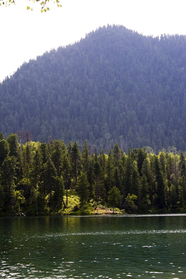 Lake and forest stock image. Image of federation, hillside - 11173001