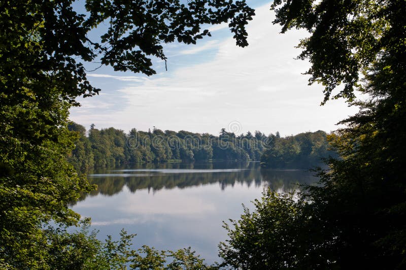 Lake in the forest stock image. Image of green, pond - 26331087