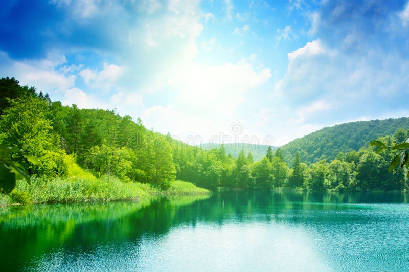 Lake in forest stock image. Image of horizon, leaf, landscape - 7723531