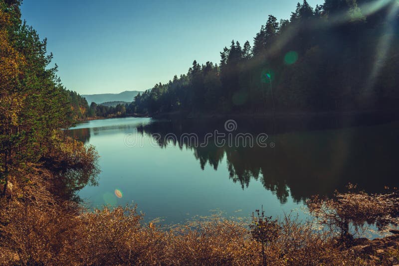 Lake in forest in autumn stock image. Image of natural - 163406217