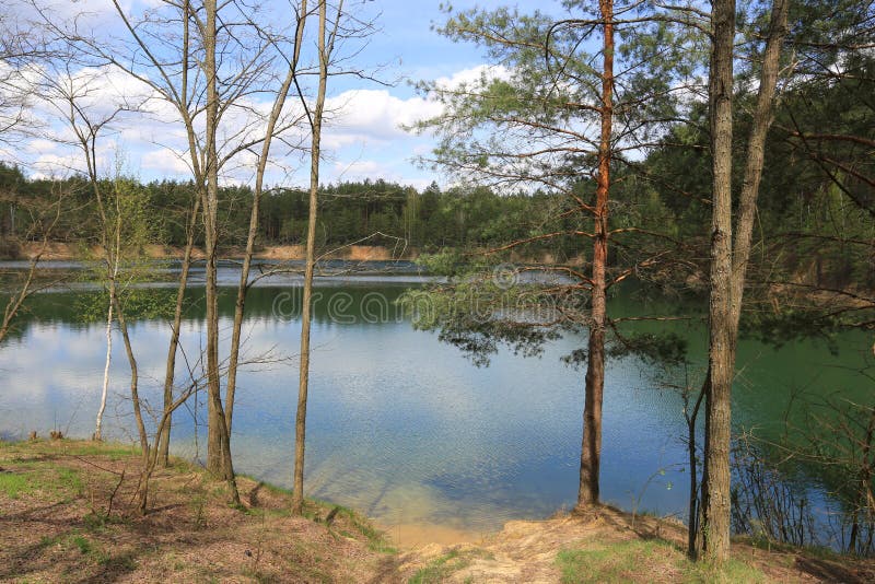 Lake in forest stock photo. Image of landscape, lake - 118158536