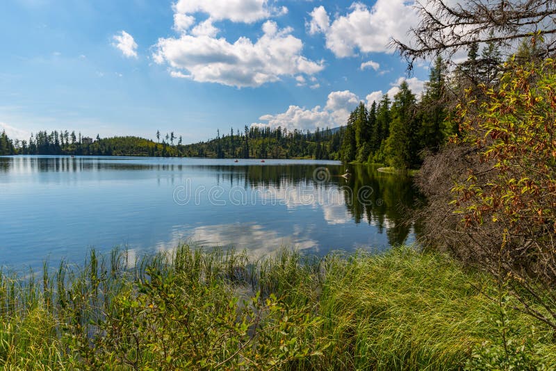 Lake in forest stock image. Image of tree, nice, scene - 124319845