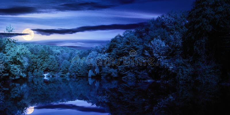 Lake among the Forest at Night Stock Photo - Image of blue, calm: 277323848